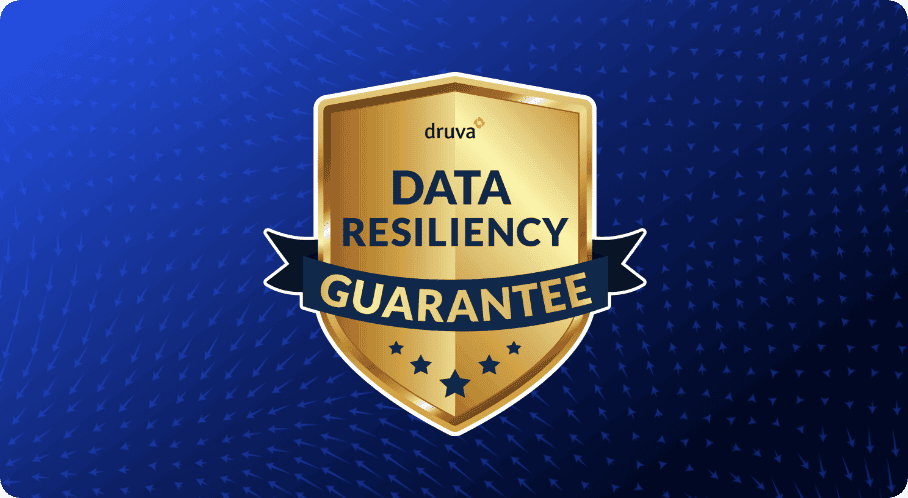 Cyber Resilience and Ransomware Recovery | Druva