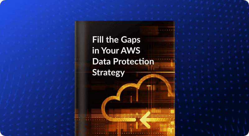 AWS Cloud Backup and Recovery Solution Services | Druva
