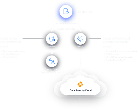 SaaS backup and recovery for enterprise public cloud data | Druva