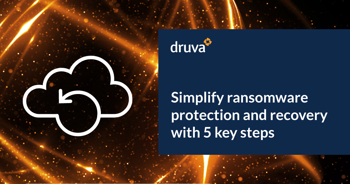 Protect Against Ransomware Using These 5 Key Steps | Druva