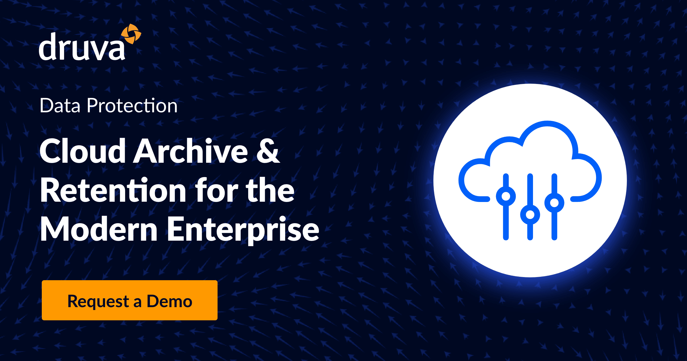 Cloud Archive & Cold Data Storage Solutions for Enterprises | Druva