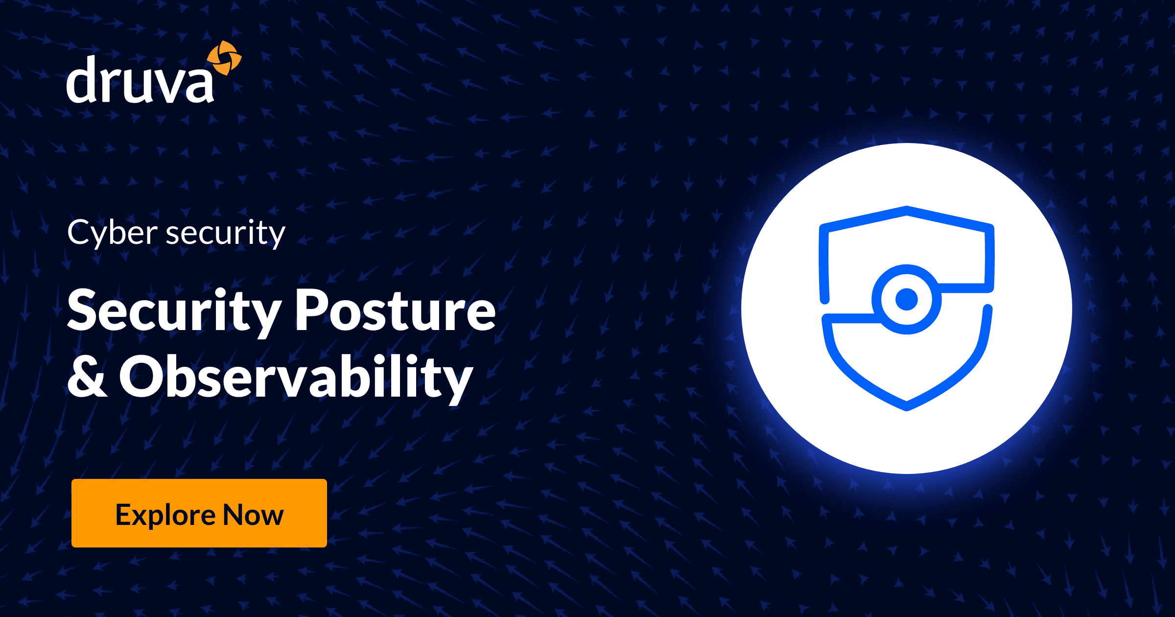 Data Security Posture | Observability for Risks + Anomalies | Druva